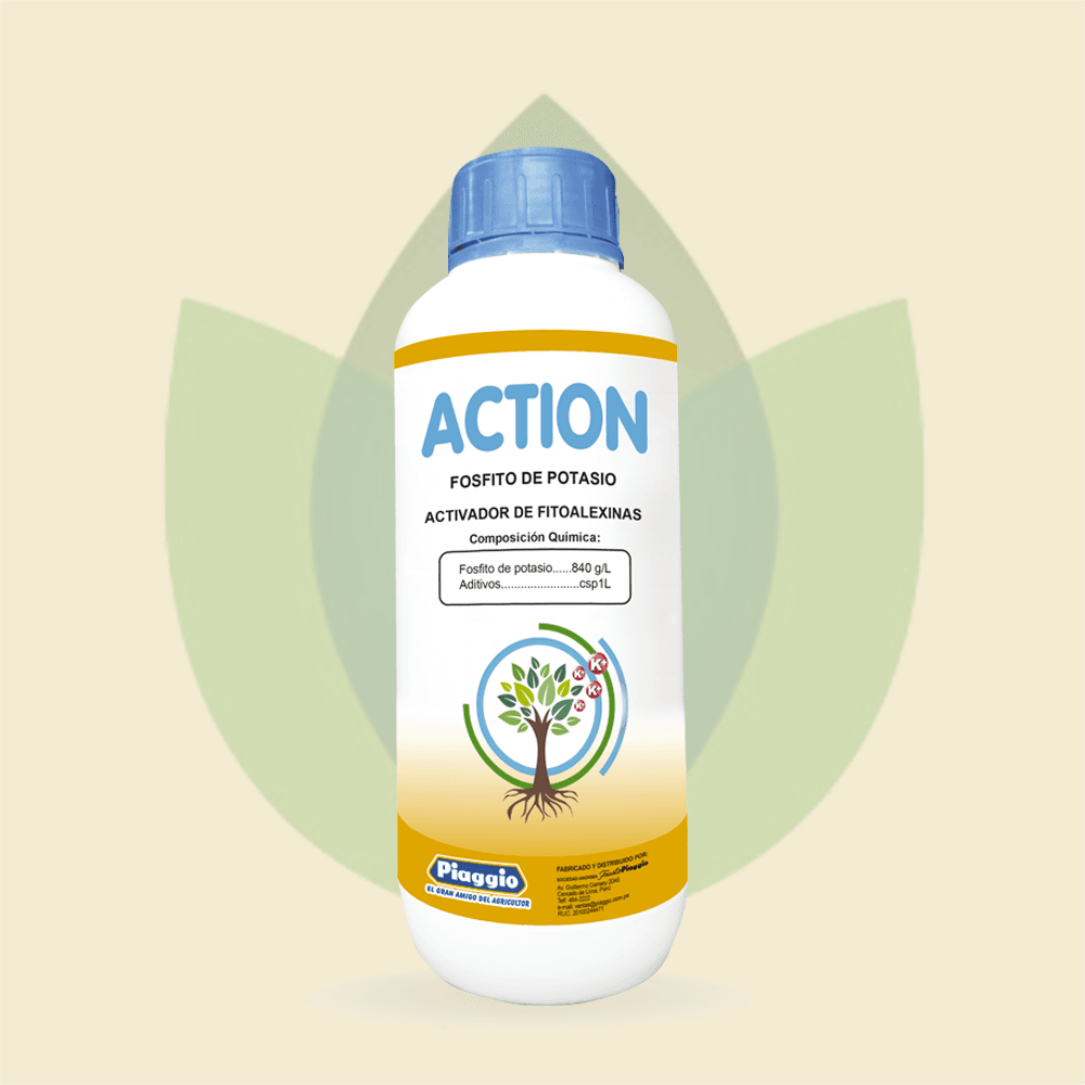 Action