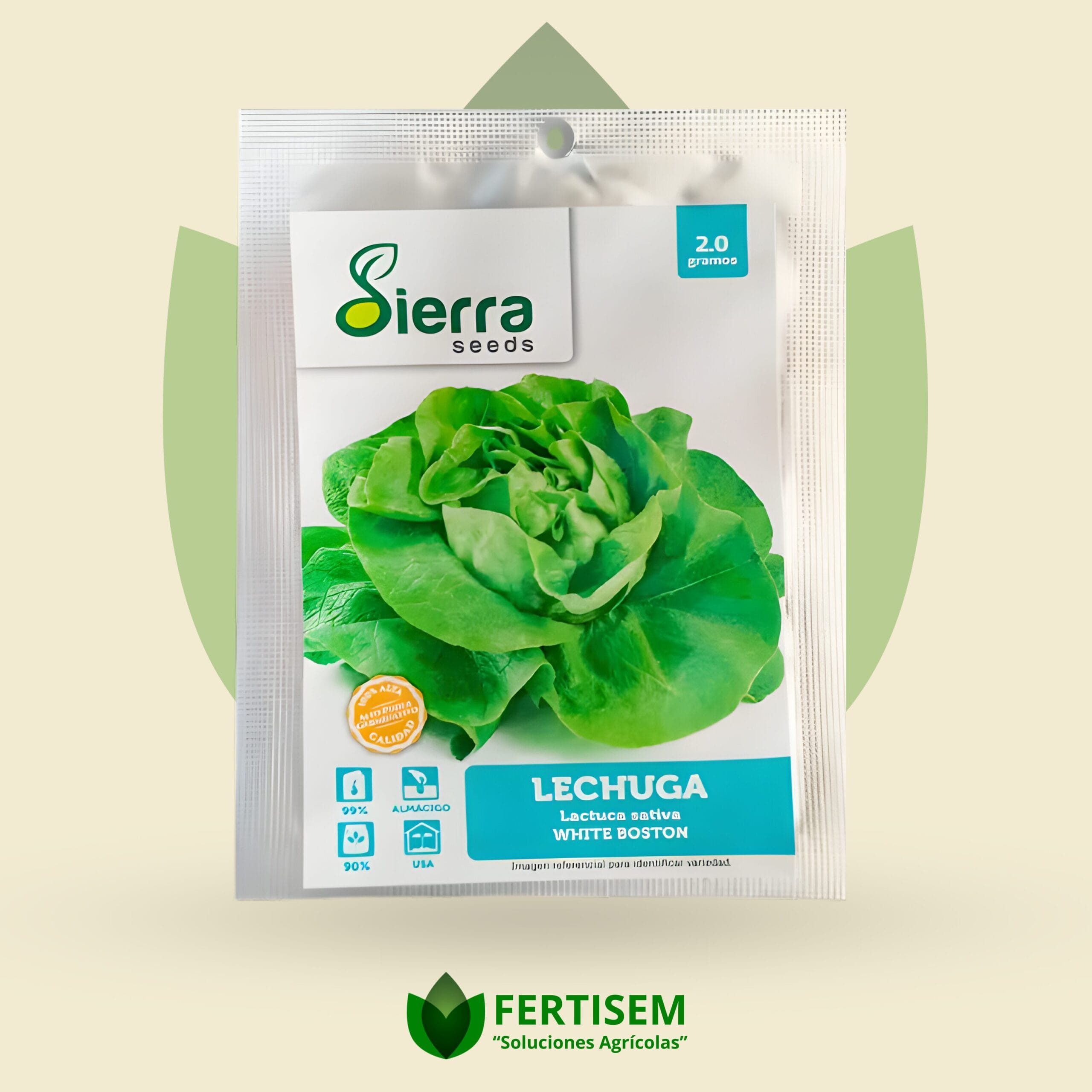 Semilla Lechuga White Boston Sobre 2gr - Fertisem